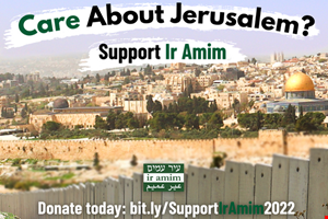 Support Ir Amim!