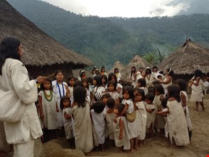 humanitarian project for the Kogi tribe in Colombia.